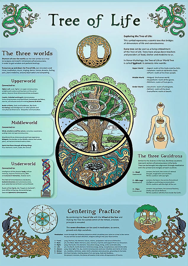 Tree Of Life Knowledge Poster Poster nature Painting by Owen Kennedy ...