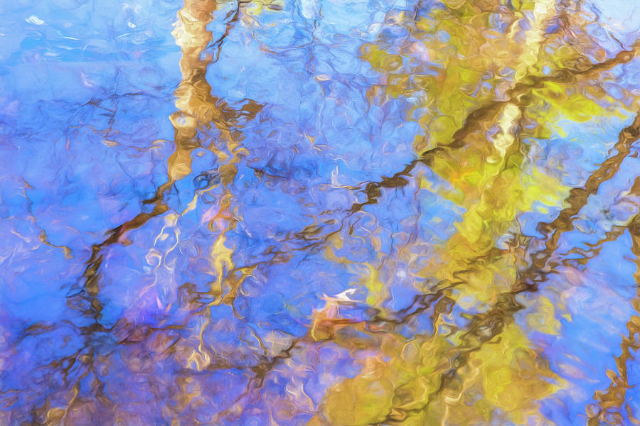 Tree Reflection in Water Photograph by Michele Baxley - Fine Art America