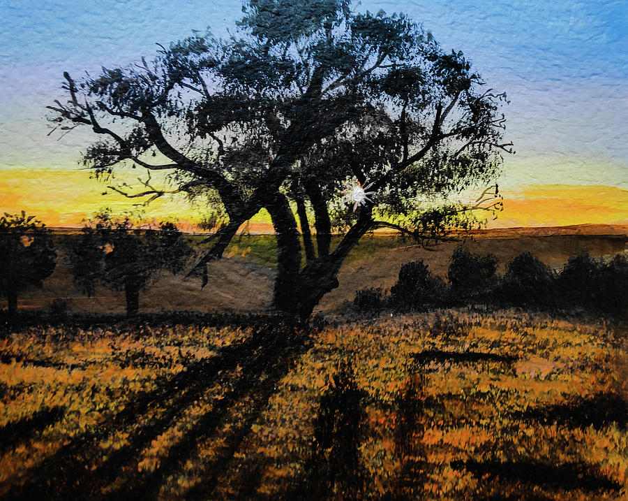 Tree Reflection Painting by Mohini Sinha - Fine Art America