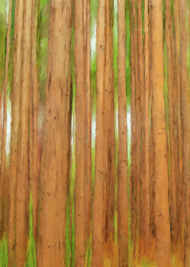 Tree Trunks Painting Oak Openings Painting by Dan Sproul - Pixels Merch