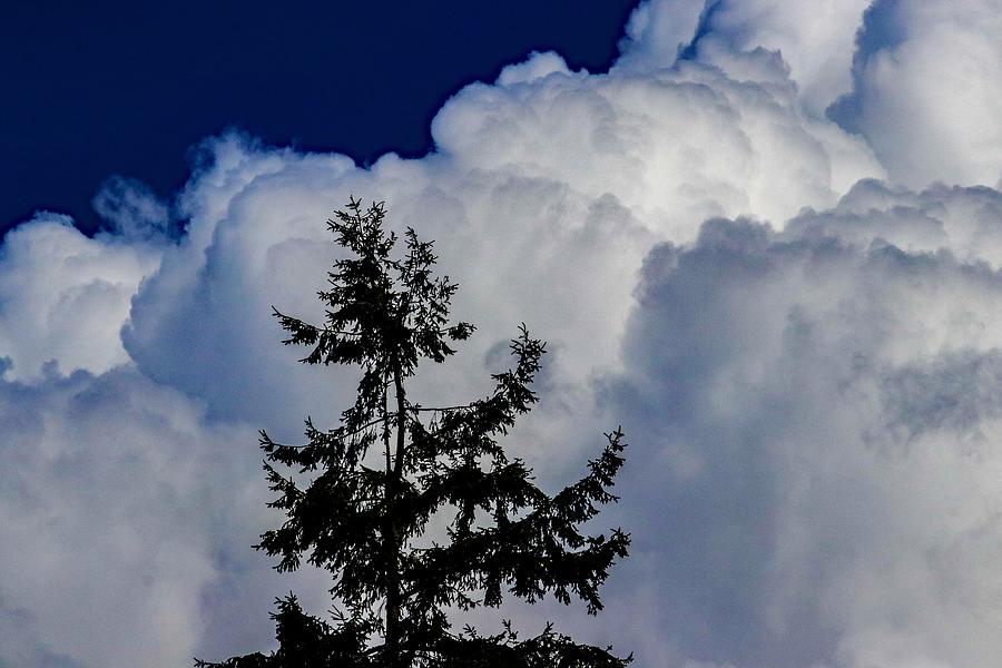 Tree with Clouds Photograph by Joseph Siebert - Fine Art America