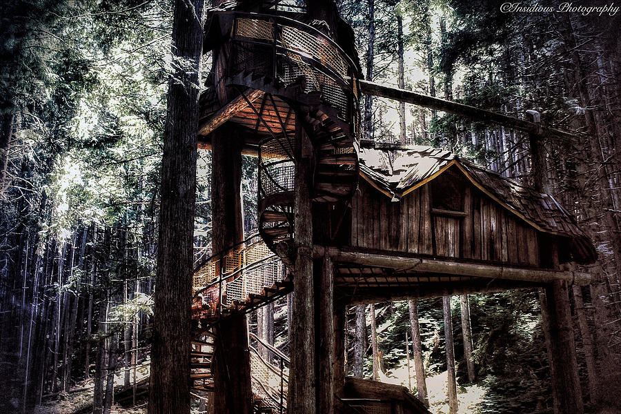 TreeHouse Photograph by Derek Erfle - Fine Art America