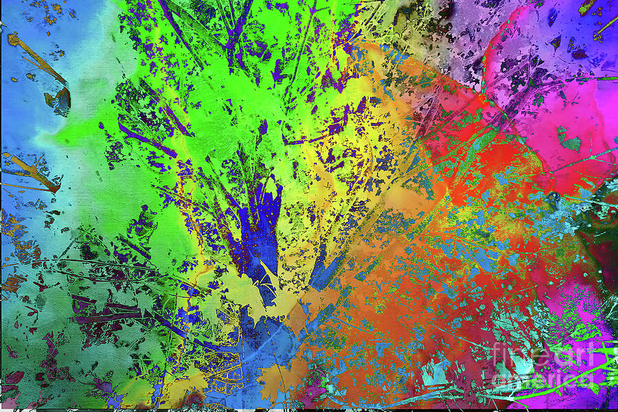 Trees fall colors 117 Vibrant Abstract Color Explosion Digital Art by ...