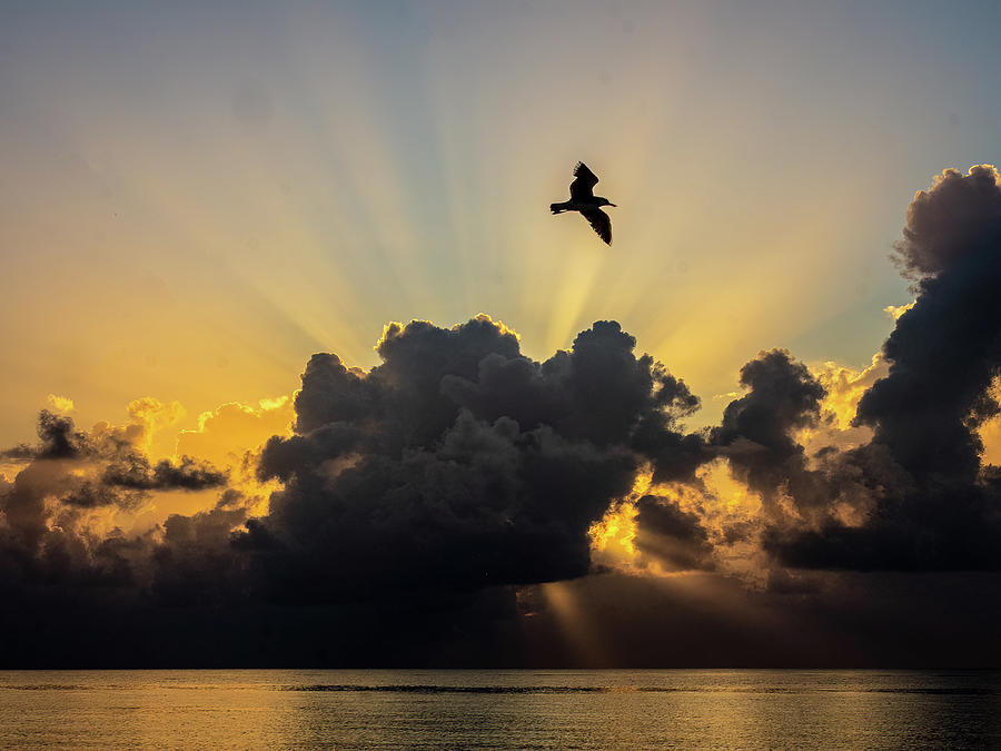 Tribute to Veterans... Photograph by David Choate - Pixels