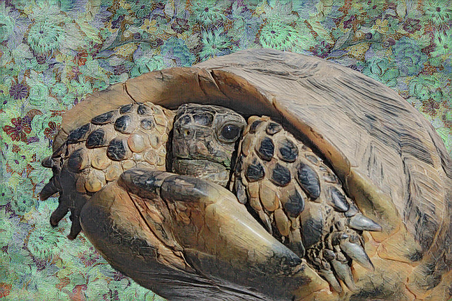 Turtle Digital Art by Lovina Wright - Fine Art America