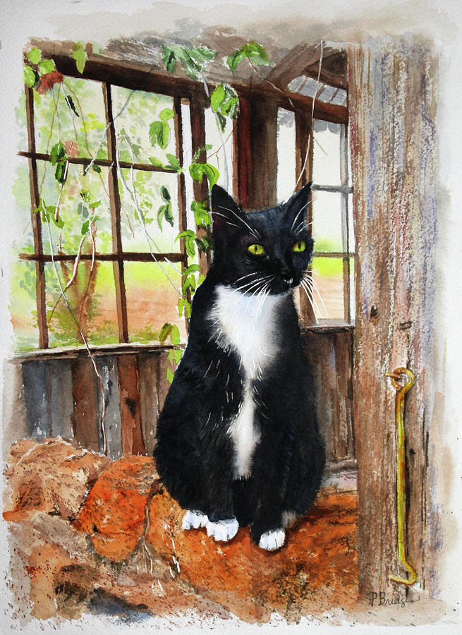 Tuxedo Cat on Rocky Wall Painting by Paula Bridges - Fine Art America