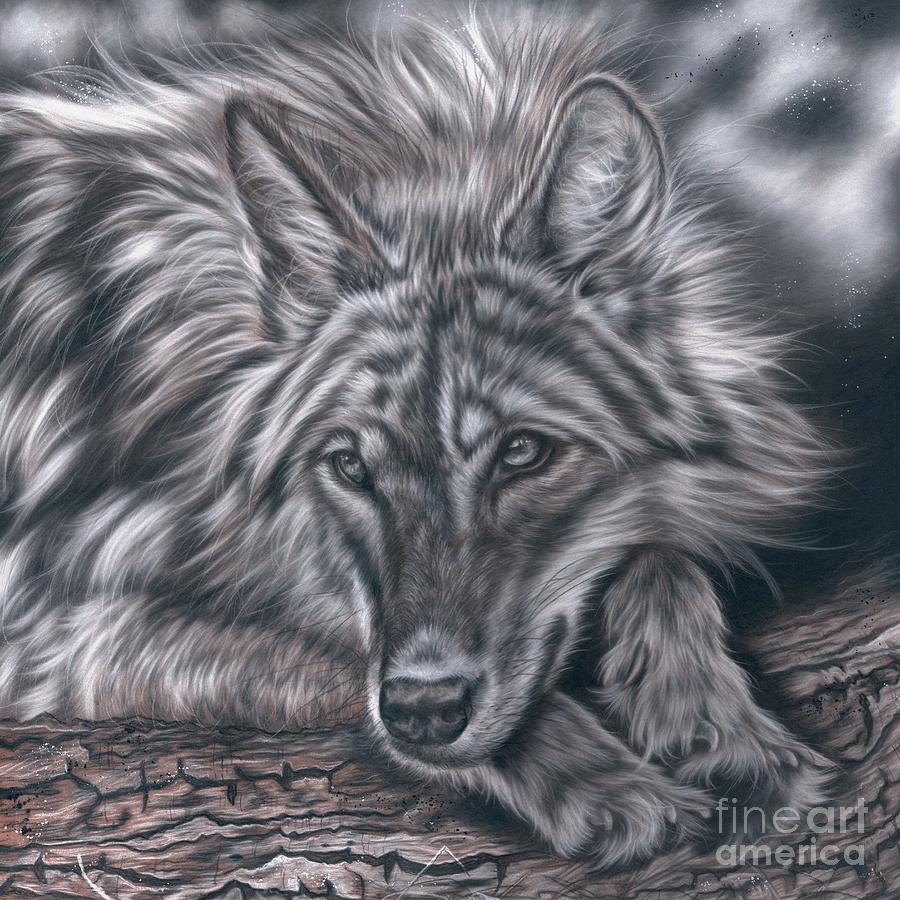 Twilight Drawing by Rosabelle Art - Fine Art America