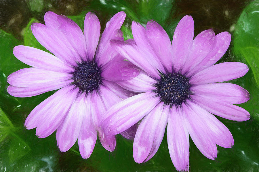 Twins Photograph By Cathy Kovarik Fine Art America