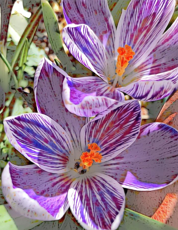 Two Spring Crocus Abstract Digital Art by Mo Barton | Fine Art America