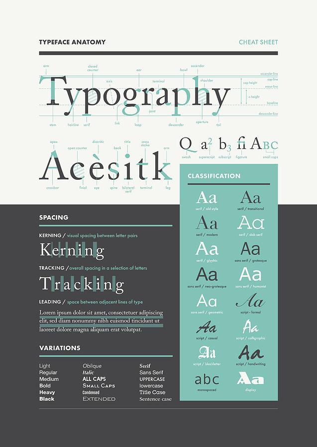 Typeface Anatomy Cheat Sheet Digital Art by Penny And Horse - Fine Art ...