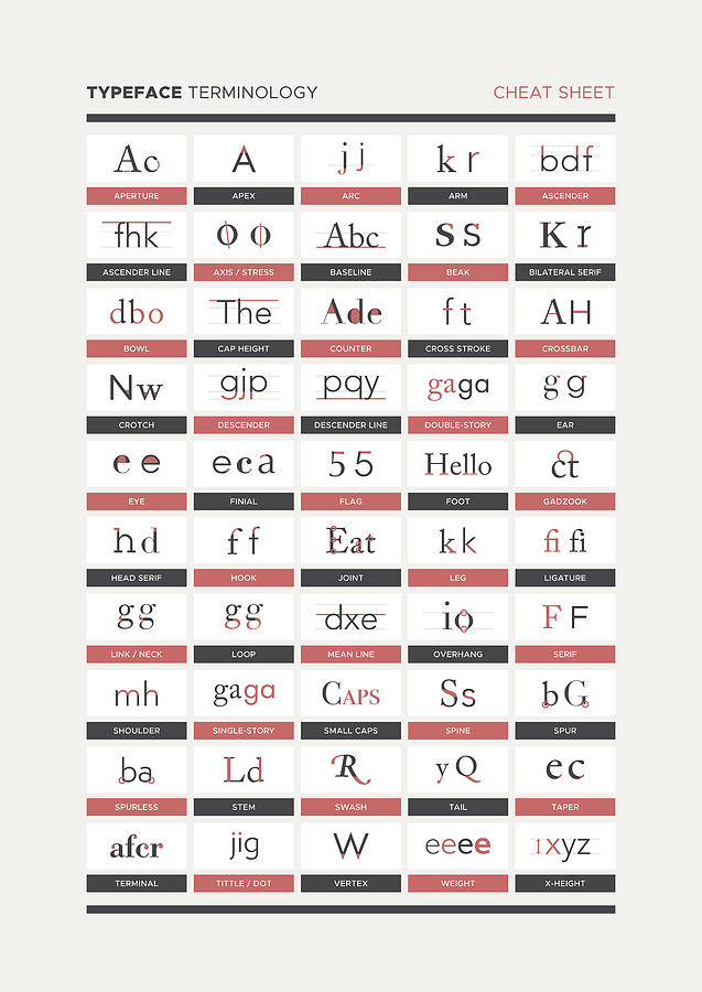 Typeface Terminology Cheat Sheet Digital Art by Penny And Horse - Fine ...