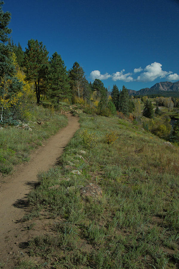 Typical Photograph by DeepEarth Photography - Fine Art America