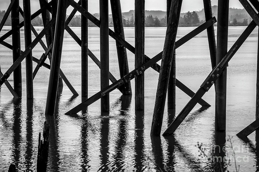 Under The Bridge 2021 Photograph By Michael Ziegler Fine Art America