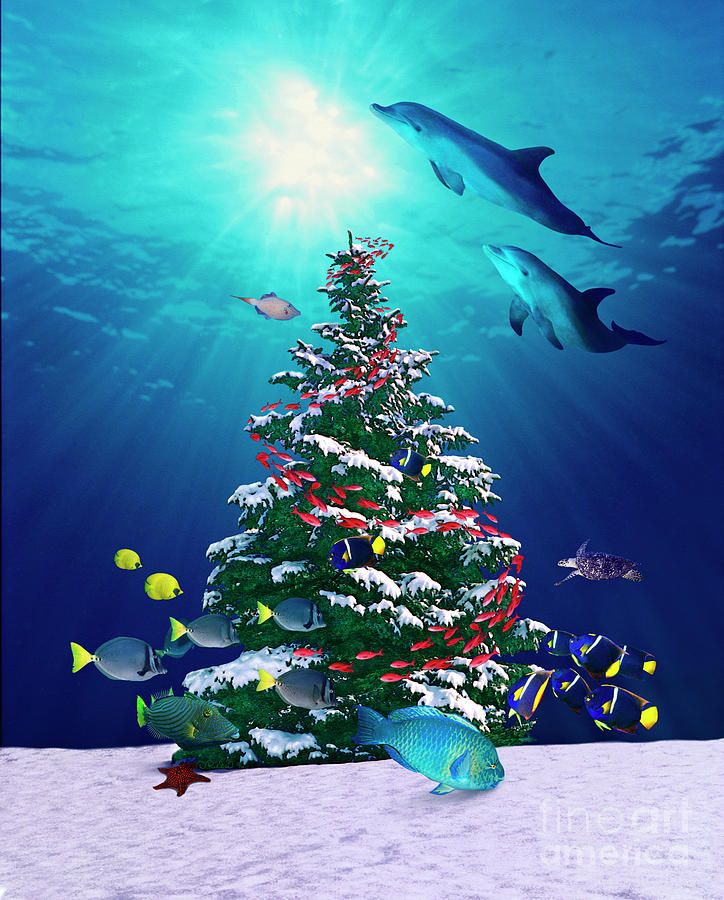 Underwater Christmas Tree Digital Art By David Rickerd Fine Art America