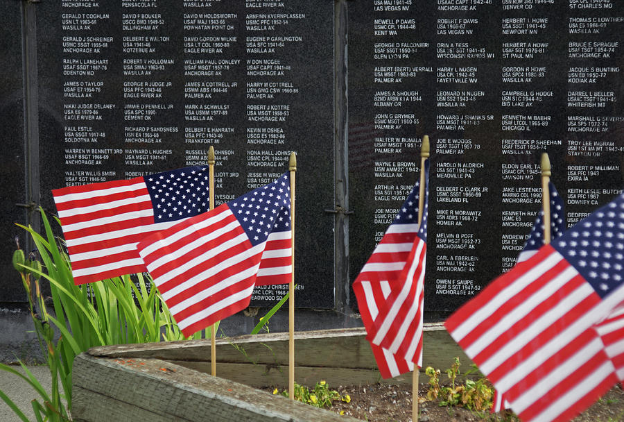 United States Veterans Memorial Flags Photograph by Robert Braley - Pixels