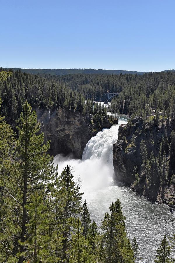 Upper Falls in Yellowstone Photograph by Flo McKinley - Pixels