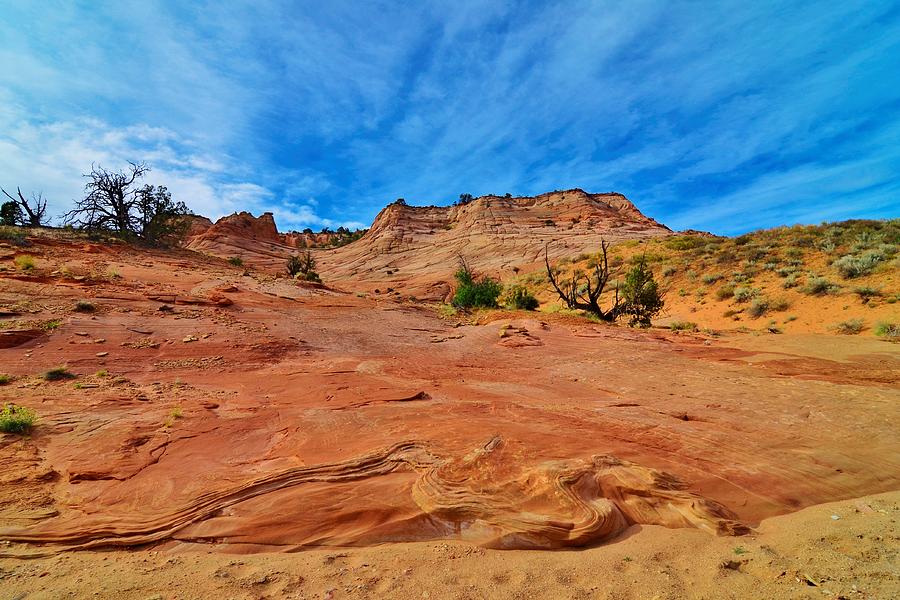 Utah Desert Scenery Photograph by David Knowles - Fine Art America