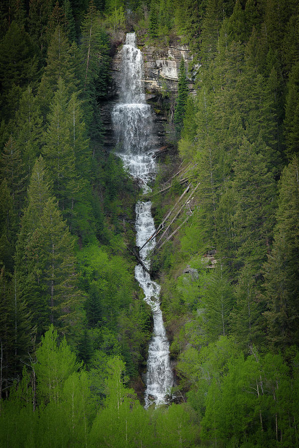 Vail Valley Fall Photograph by Steve Gandy - Fine Art America