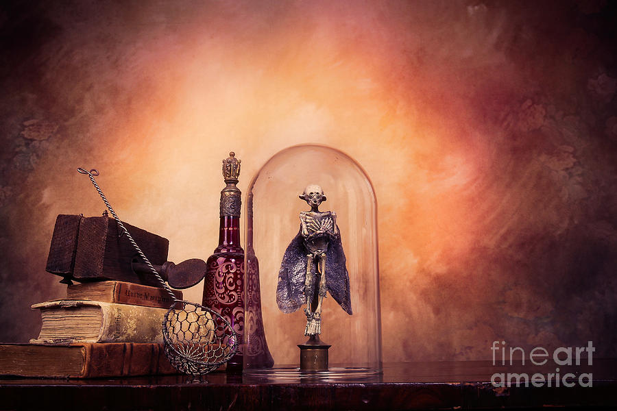 Vampire hunter Photograph by Murgia Cinzia - Fine Art America Vampire hunter Photograph by Murgia Cinzia - Fine Art America