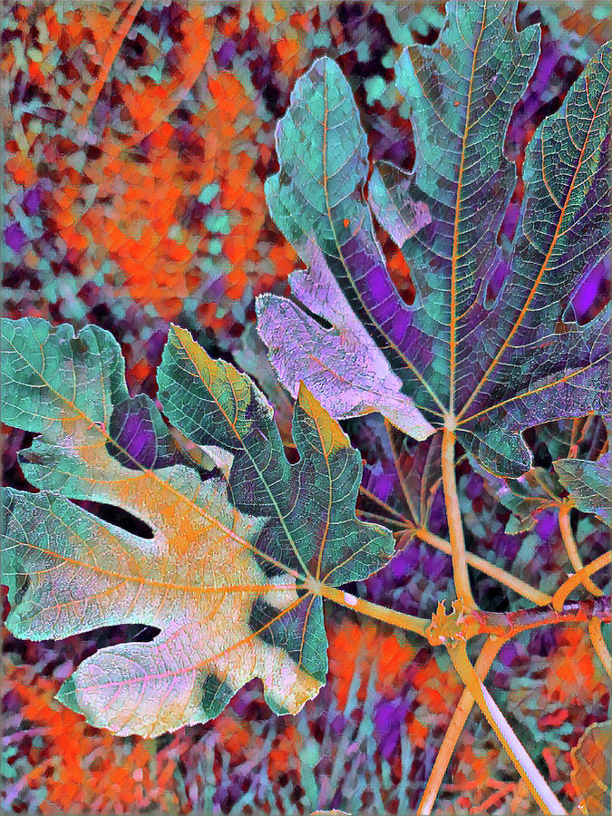 Variance Digital Art by Lovina Wright - Fine Art America