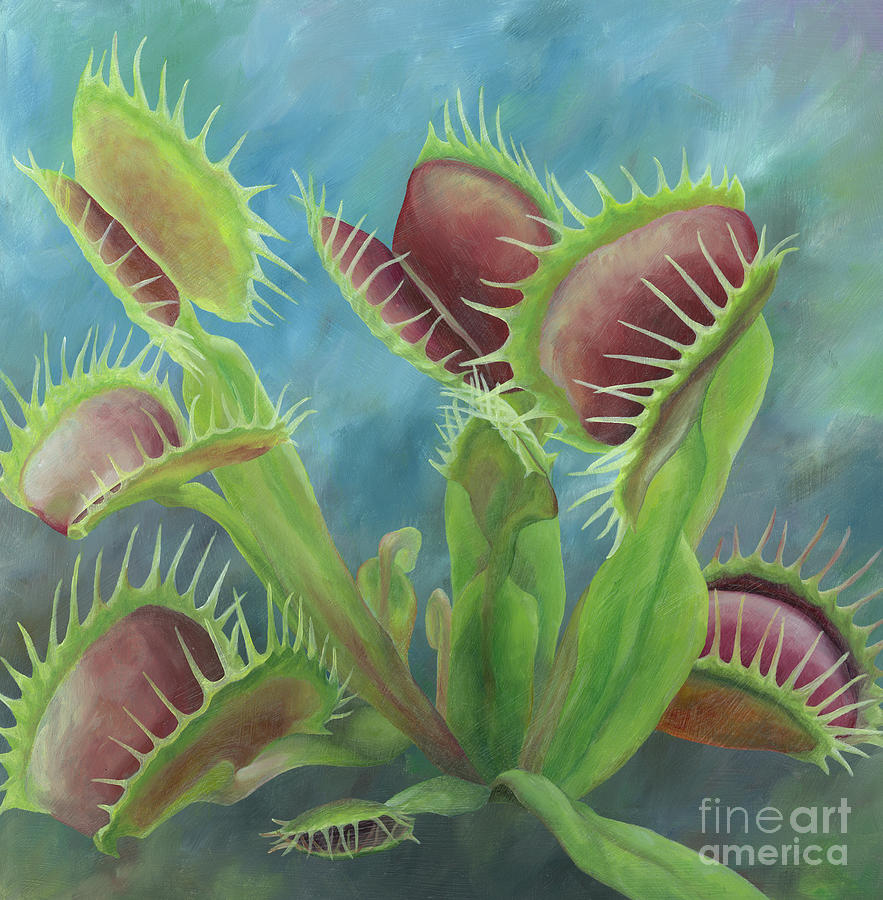 Venus Flytrap 2 Painting by Nancy Jane Dodge - Fine Art America