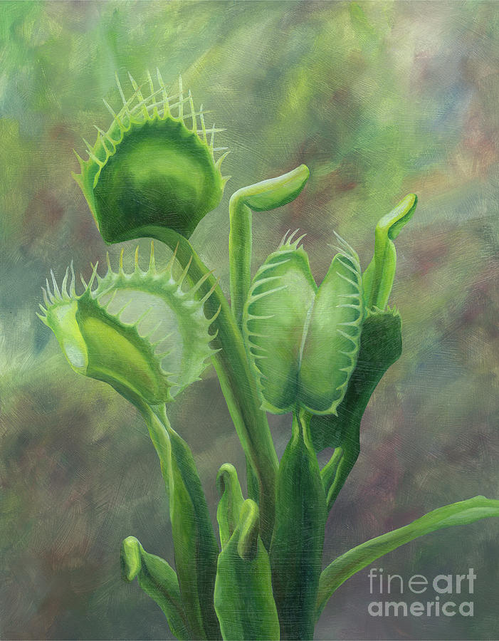 Venus Flytrap 5 Painting by Nancy Jane Dodge - Pixels