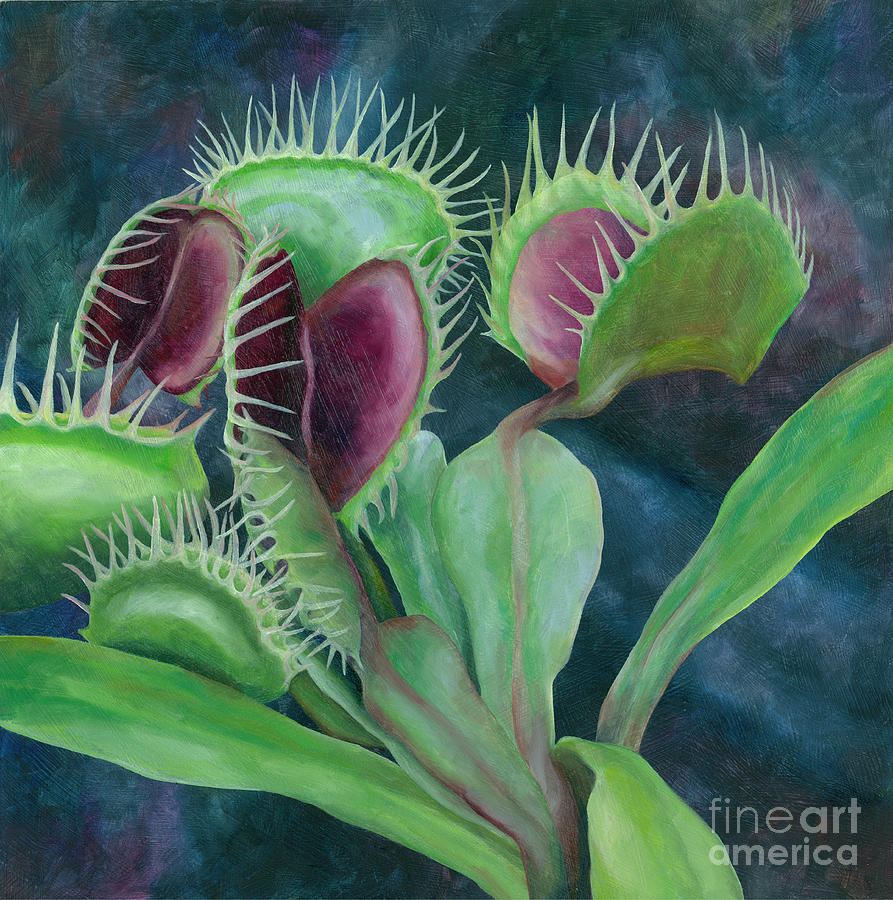 Venus Flytrap#1 Painting by Nancy Jane Dodge | Fine Art America