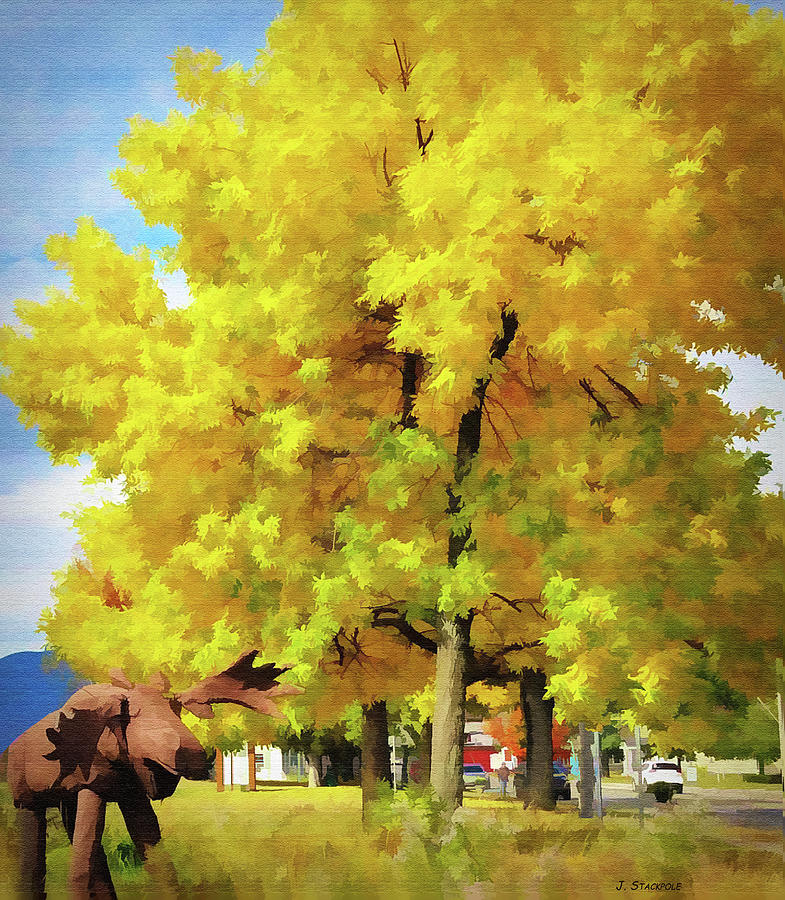 Vermont In The Fall Photograph by Jennifer Stackpole - Fine Art America