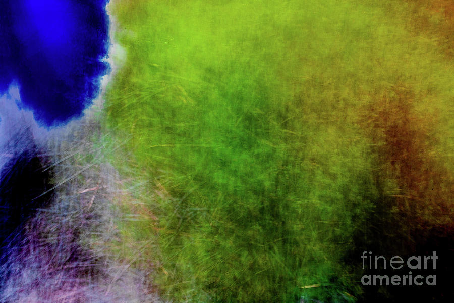 Vibration Of Colors Photograph by Manoj Singh - Fine Art America