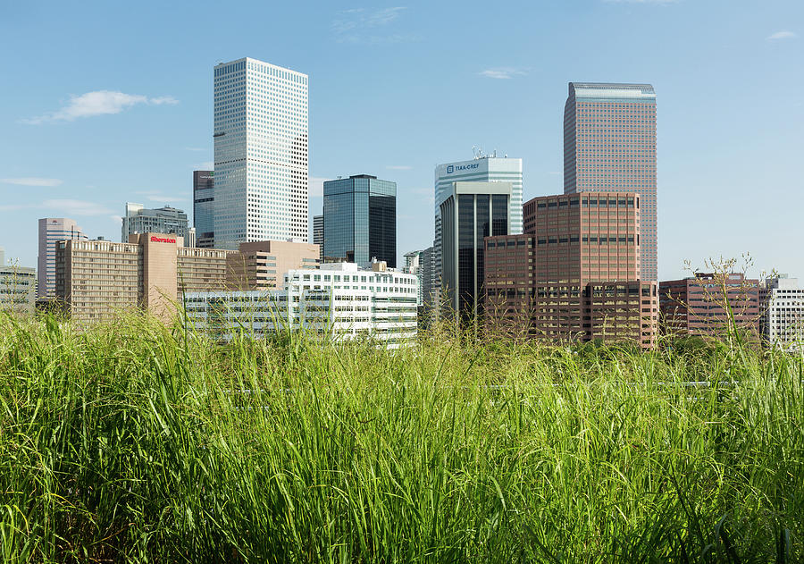 View of downtown buildings in Denver Photograph by Steven Heap - Fine ...