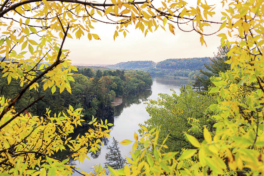 View Through Autumn Trees Photograph by Patti Deters - Fine Art America