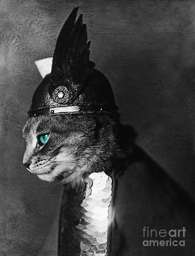 Viking Valkyrie Cat in profile Photograph by Tina Lavoie - Pixels