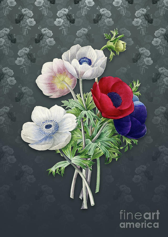 Vintage Anemone Simplex Botanical Art on Slate Gray Pattern n.4759 ...