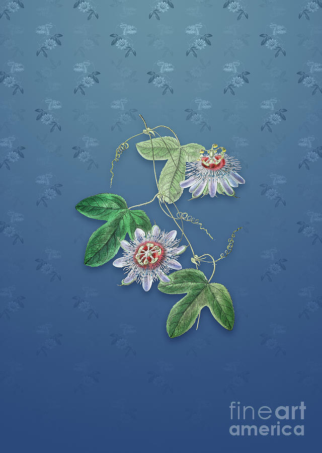 Vintage Sullivans Passion Flower Botanical Art On Bahama Blue Pattern N0389 Mixed Media By