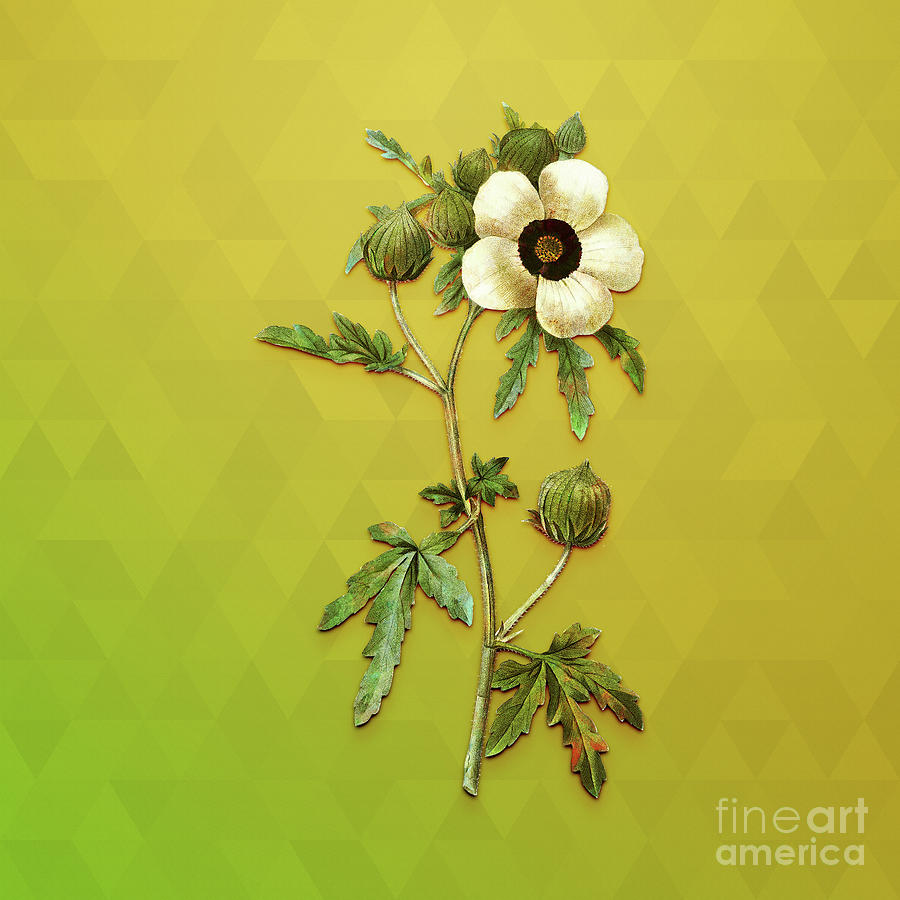 Vintage Venice Mallow Botanical Art on Empire Yellow n.0097 Mixed Media ...