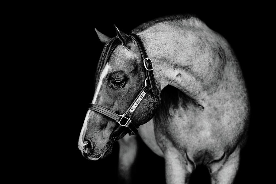 VS Code Red Photograph by Kirstie Marie Jones - Fine Art America