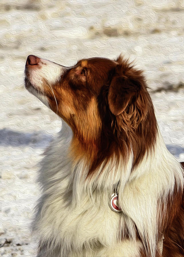 Waiting For A Command Digital Art by Robert Ratcliffe - Fine Art America