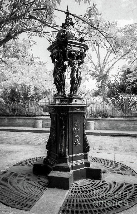 Wallace Fountain by Shakespeare and Co., Paris, BW, Painterly ...