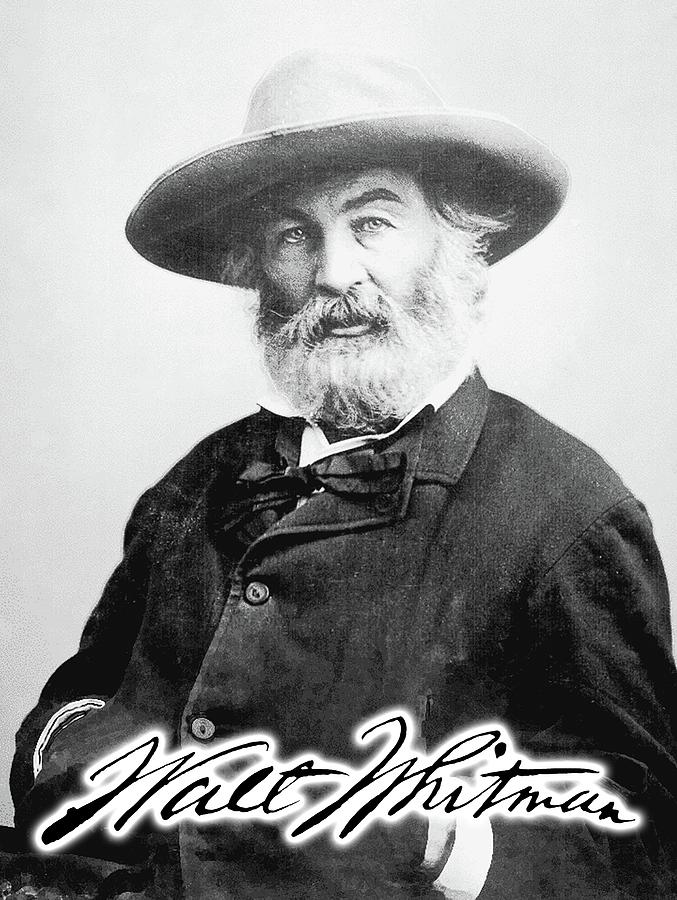 Walt Whitman. American poet, essayist and journalist. Digital Art by ...
