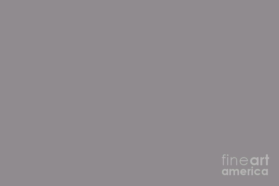 Warm Midtone Heliotrope Gray - Grey Solid Color Pairs PPG Shining Armor ... Warm Midtone Heliotrope Gray - Grey Solid Color Pairs PPG Shining Armor ...