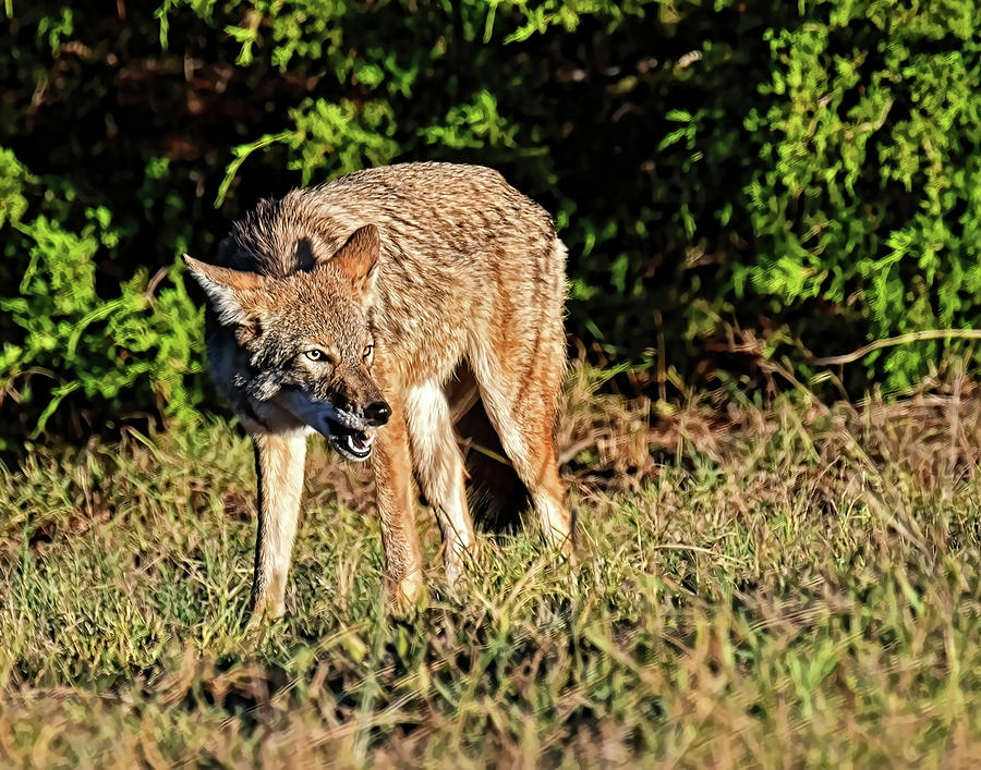 Warning Photograph by Stuart Harrison - Fine Art America