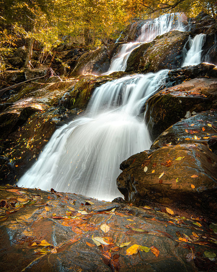 Waterfall At Shenandowa National Park Photograph By Roger Swieringa
