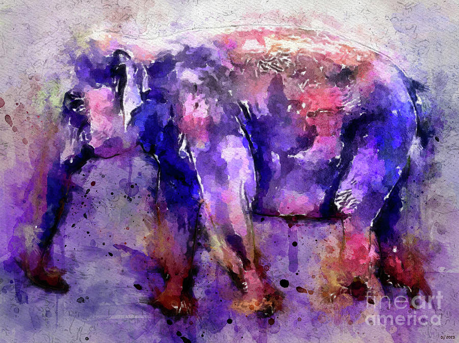 Watercolor Elephant Mixed Media by Daniel Janda - Fine Art America