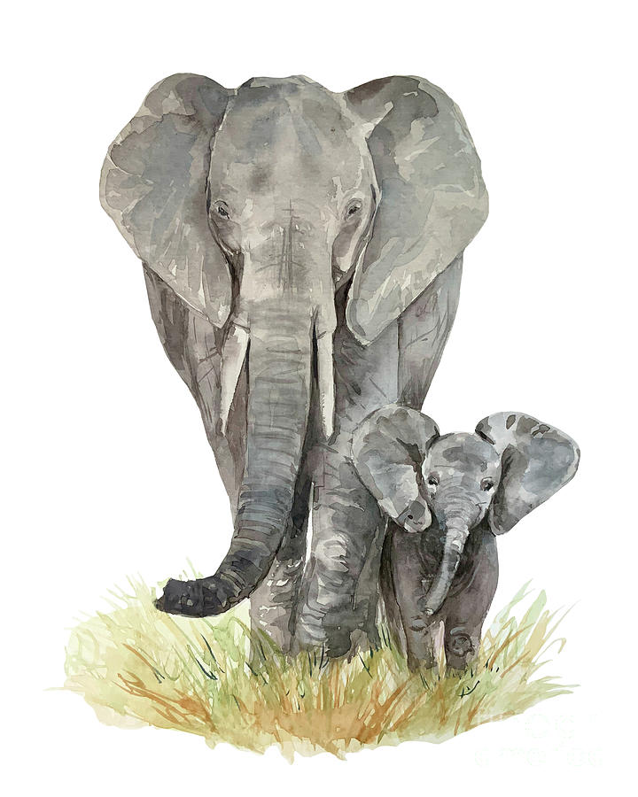 Watercolor Elephants Mother and Baby Wild Animals Digital Art by ...