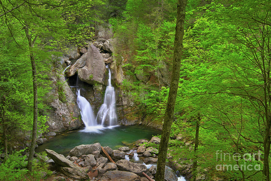 Waterfall Spring Photograph by Gary W Griffen - Fine Art America