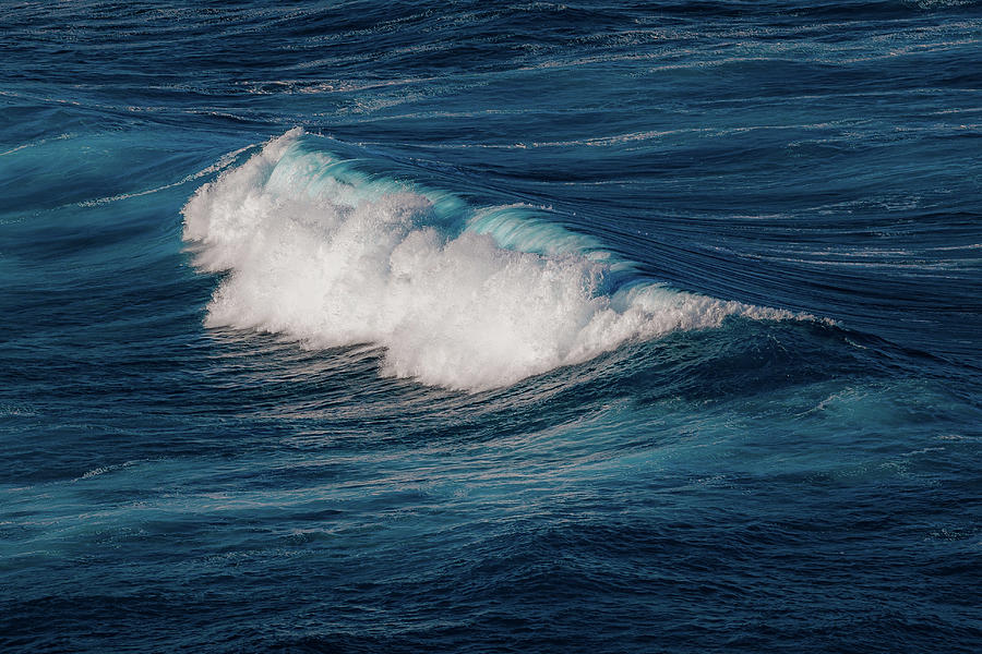 Waves in Motion Photograph by Aimee Worthington - Fine Art America