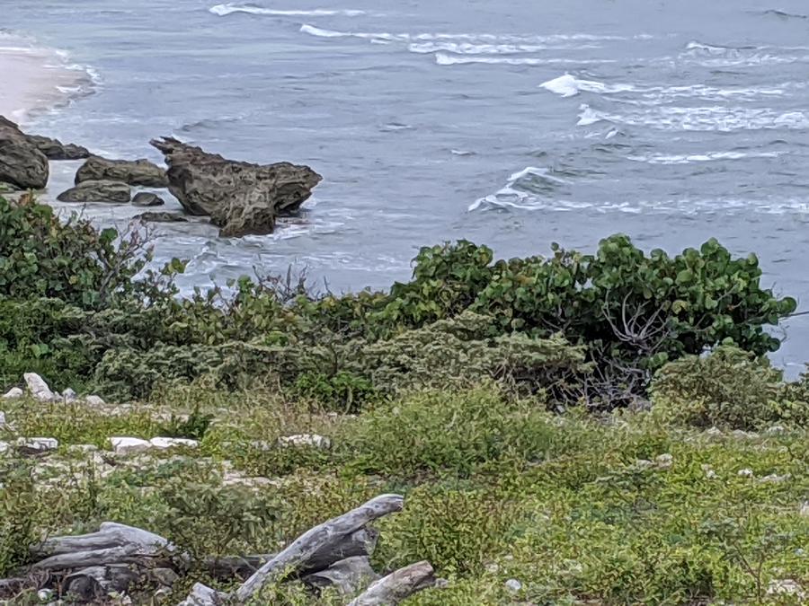 Waves Photograph by Linda Thacker - Fine Art America