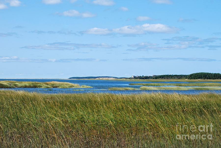 Wellfleet Marsh Photograph By Ute Carbone Fine Art America