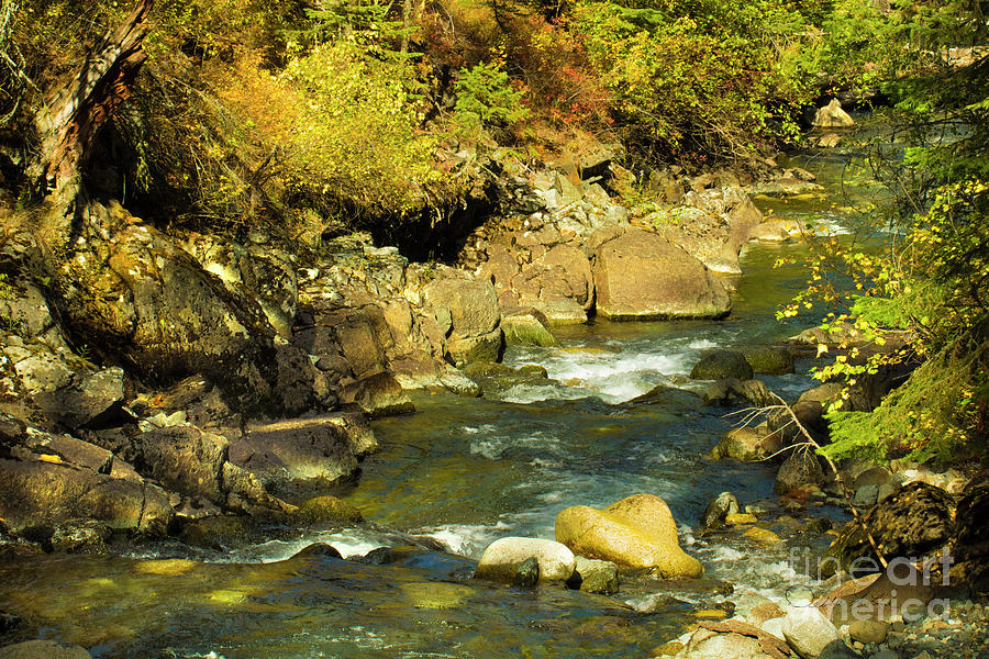West Fork River BC Creek Trail Photograph by Debbie Lind - Fine Art America