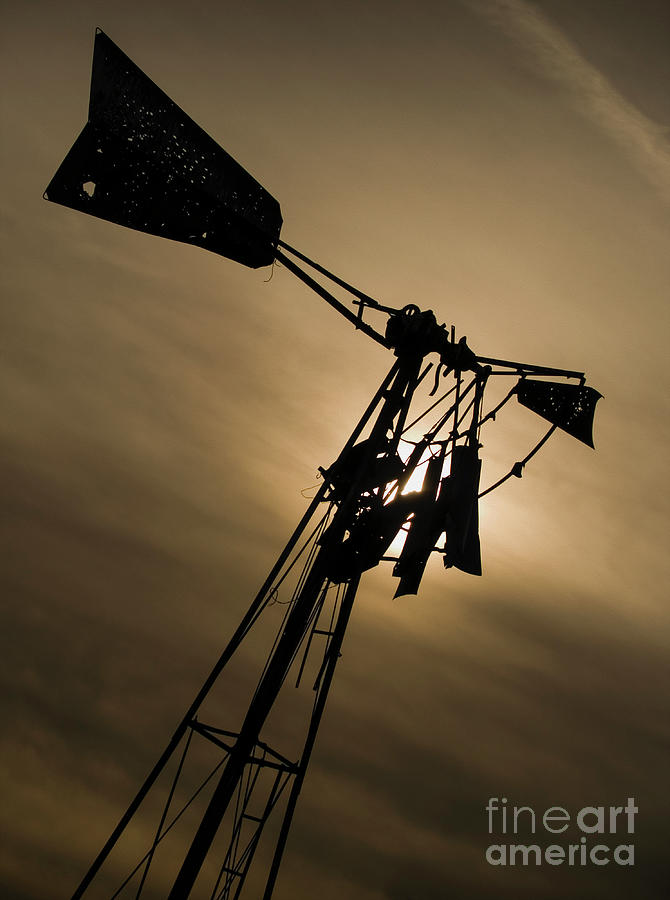 Whipped By The Wind Photograph by Virgil L Harper | Fine Art America